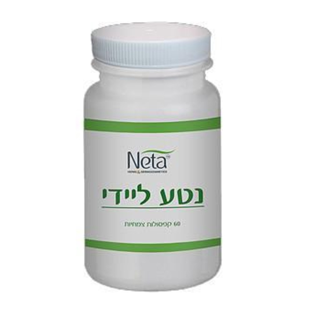 מוצרי דבקה זיפנית - לרכישה בבית הבריאות - חנות טבע אונליין ⭐